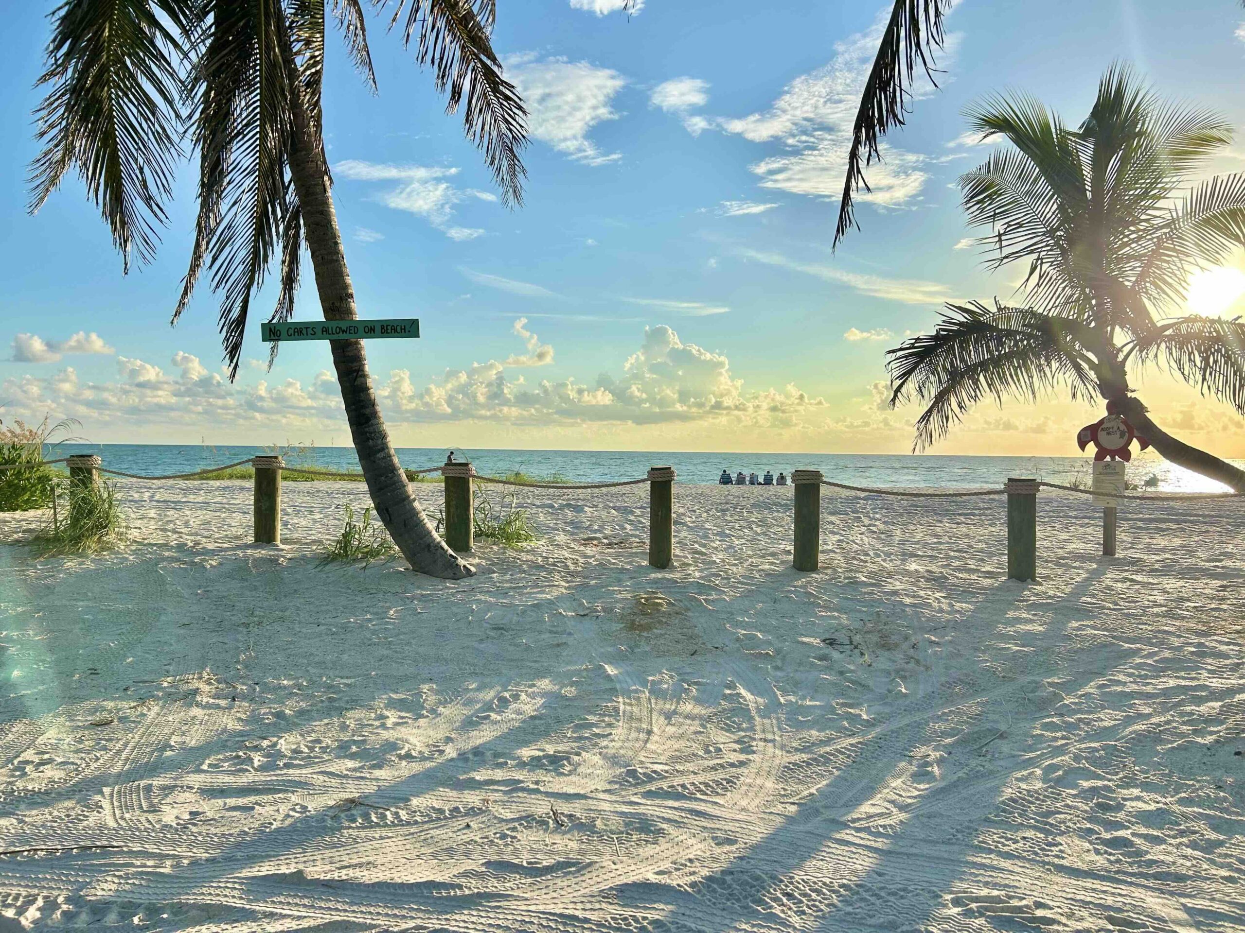 Protecting North Captiva’s Shoreline: New Barriers Installed at Beach ...