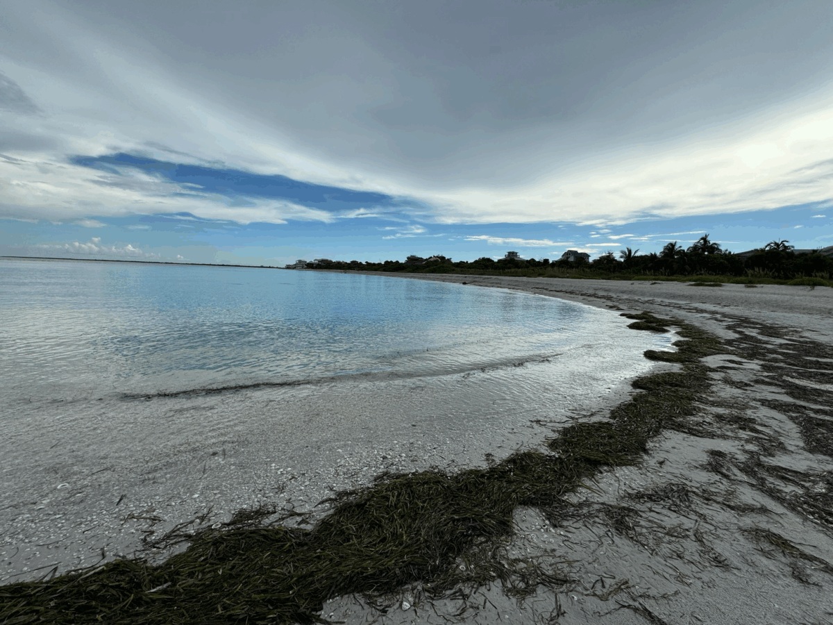 Manatee Haven - Visit North Captiva