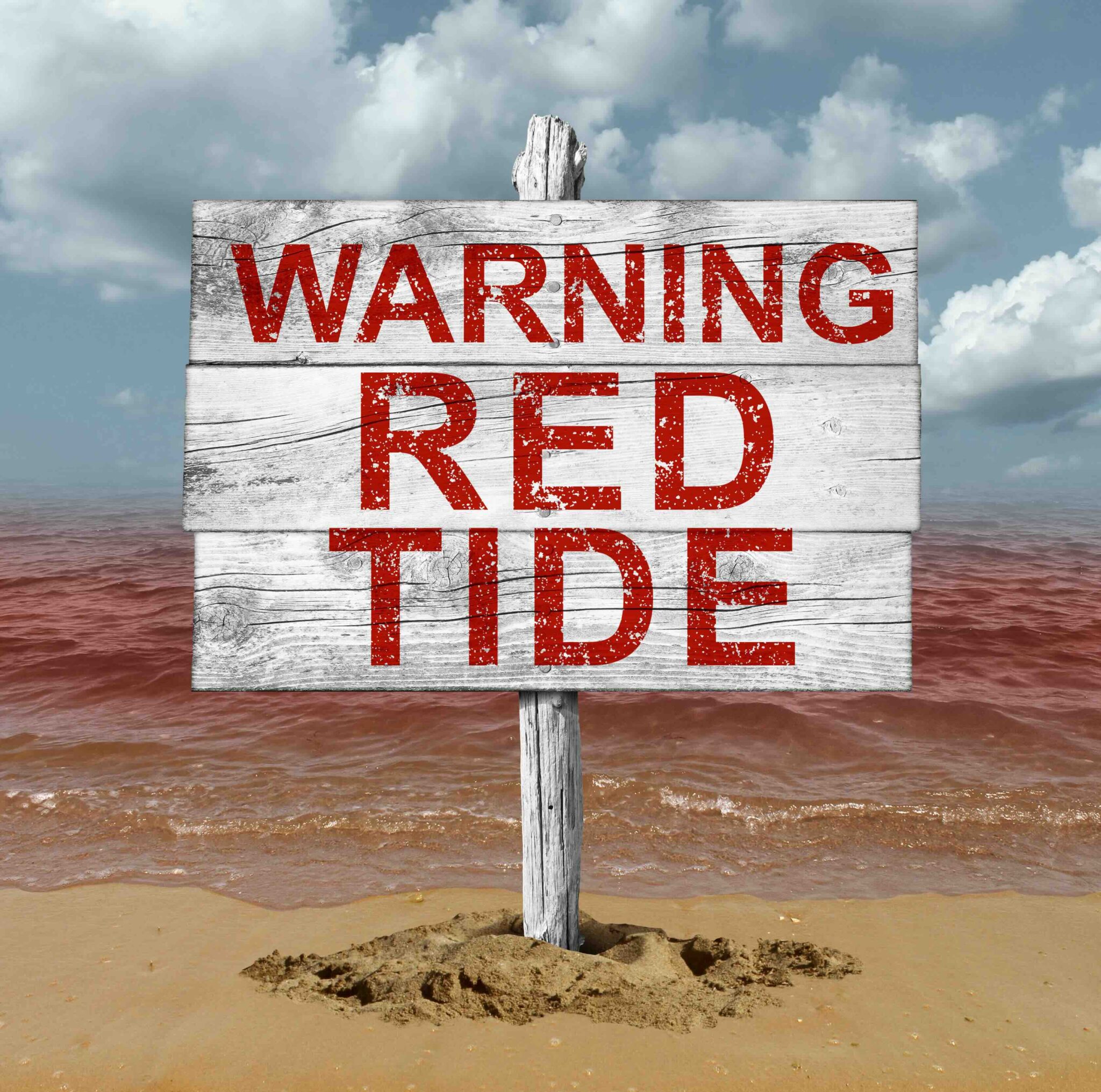 Essential Guide: What Is Red Tide, How It Affects North Captiva Island ...
